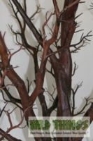 4' Tall Natural Brown Centerpiece Tree | Manzanita Tree ...